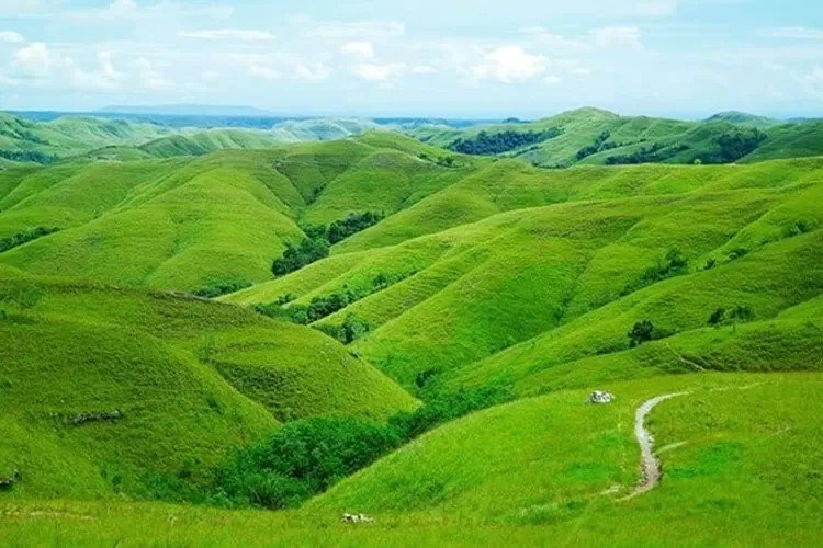 Bukit Teletubbies Doyo Lama: Lokasi, Tiket,